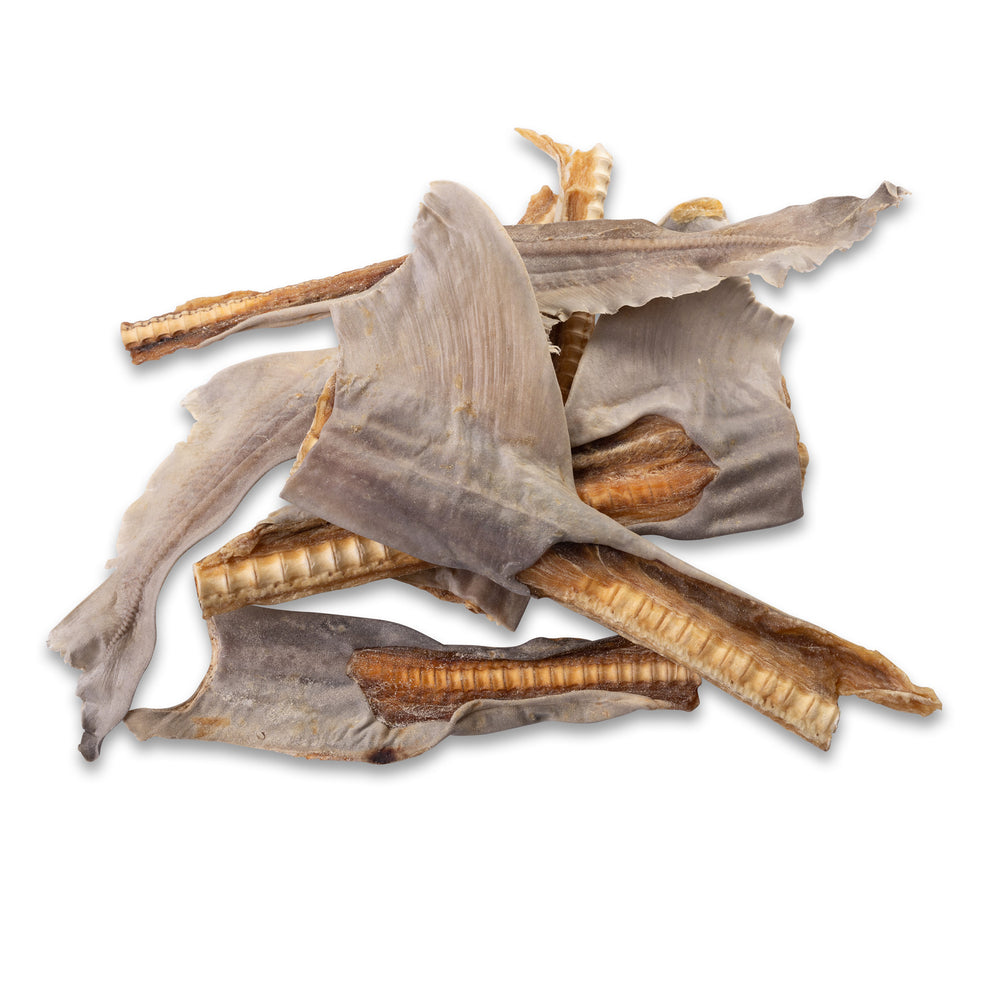 Shark Cartilage Tails – Discount Pet Treats